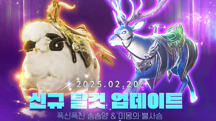V4 -NEXON